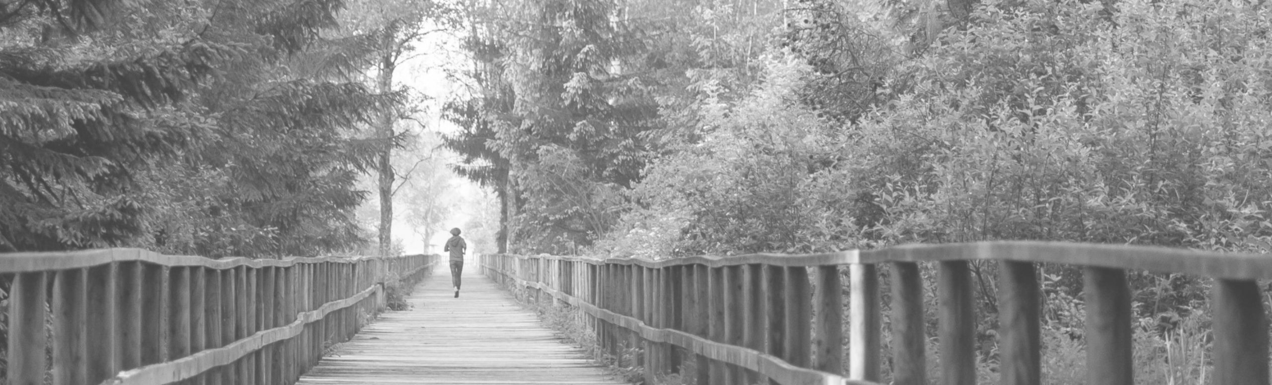 Physiotherapy- Leaders in Sports Musculoskeletal physio | Physica